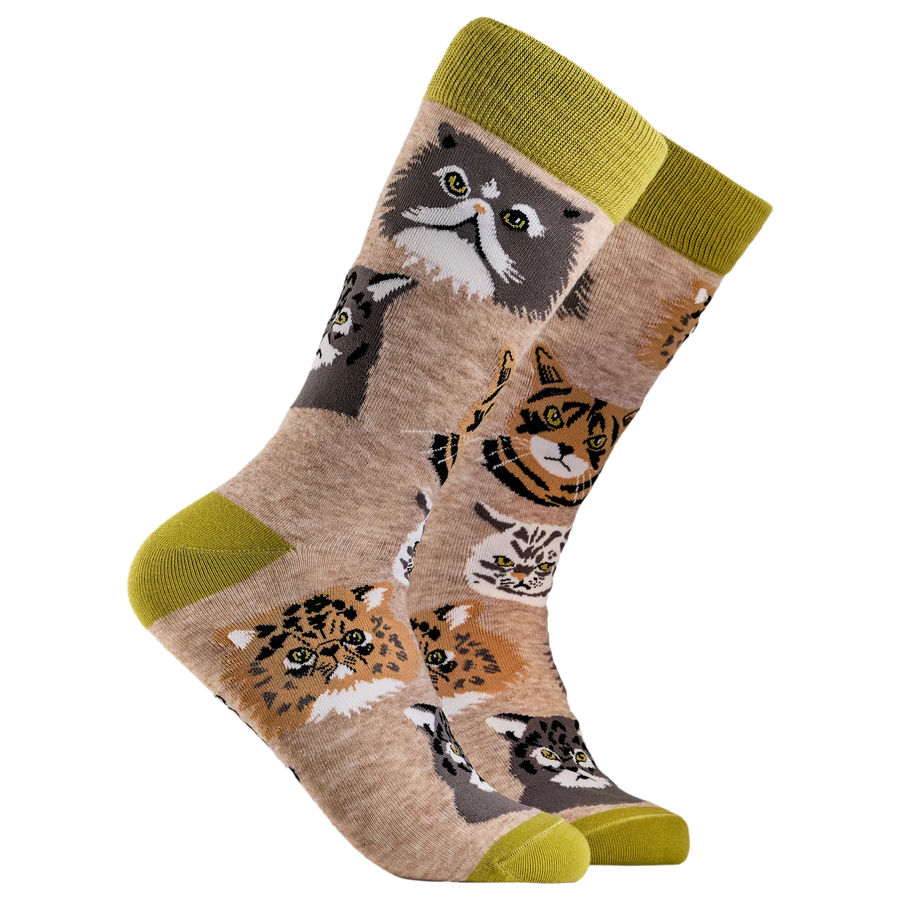 GRUMPY CATS SOCKS | Socktopus · Wholesale Socktopus